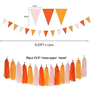 Pink-Orange Groovy Party-Decorations Pom-Poms Streamers - 23pcs Fall Autumn Thanksgiving Harvest Tissue Tassel Garland Banner,Birthday Baby Bridal Shower Engagement Wedding Decor Lasting Surprise