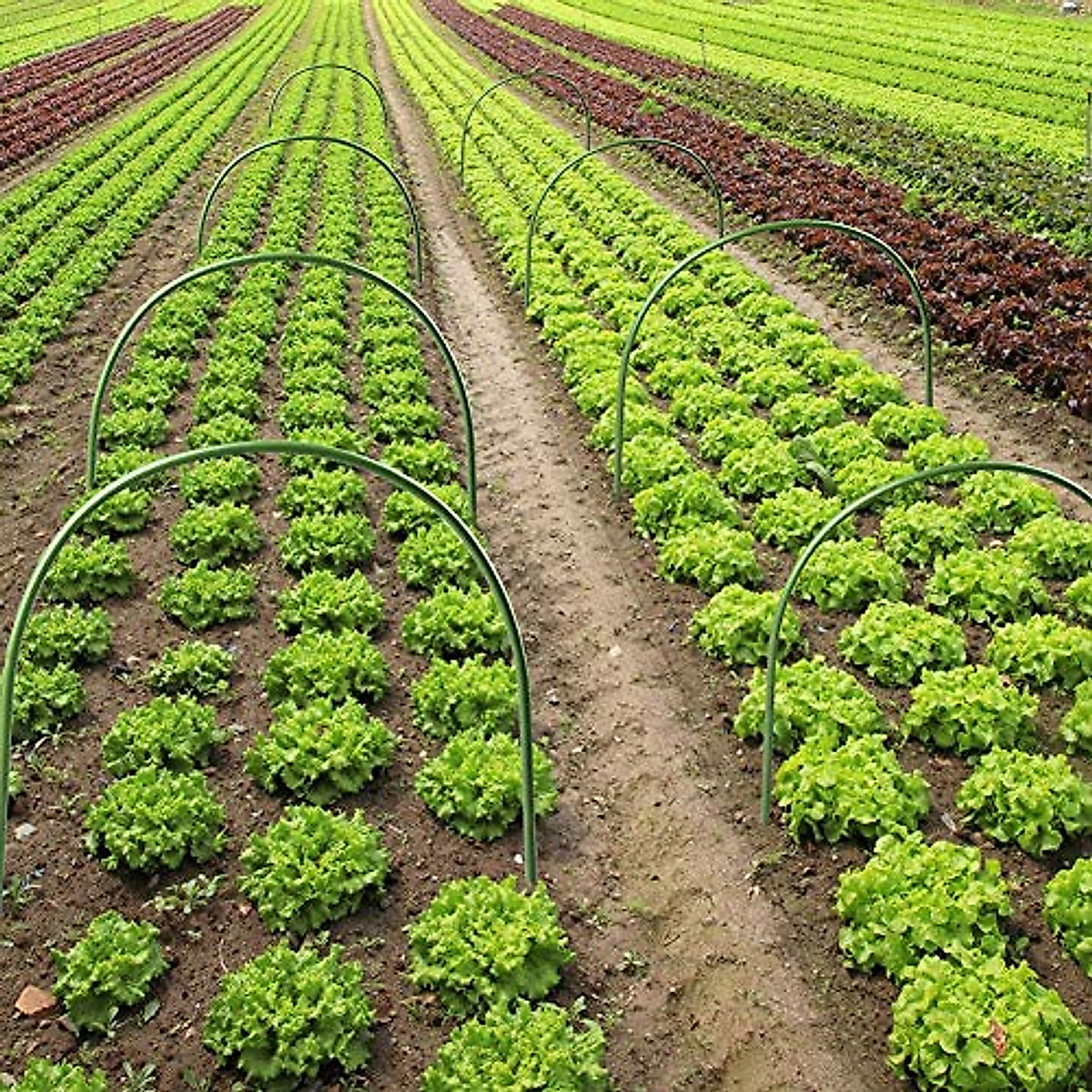 Greenhouse Hoops,Plastic Coated Hoops with Steel Inside Rust-Free Grow Tunnel Tunnel Support Hoops for Garden Fabric,19.7"x19.7"/6-Pack