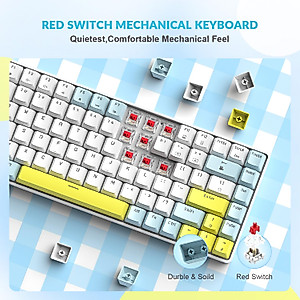 ZIYOU LANG RK-K84 Wired 75% Mechanical Gaming Keyboard Hot Swappable with Rainbow LED Backlit Anti-ghosting TKL 84 Key Custom Coiled C to A Cable Linear Red Switch for PS4 PS5 Xbox PC Mac Gamer(Lemon)