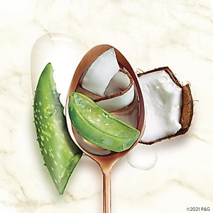 Hair Food Organics Sulfate Free Shampoo and Conditioner Set with Coconut Oil and Aloe, 10.1 Fl Oz Each