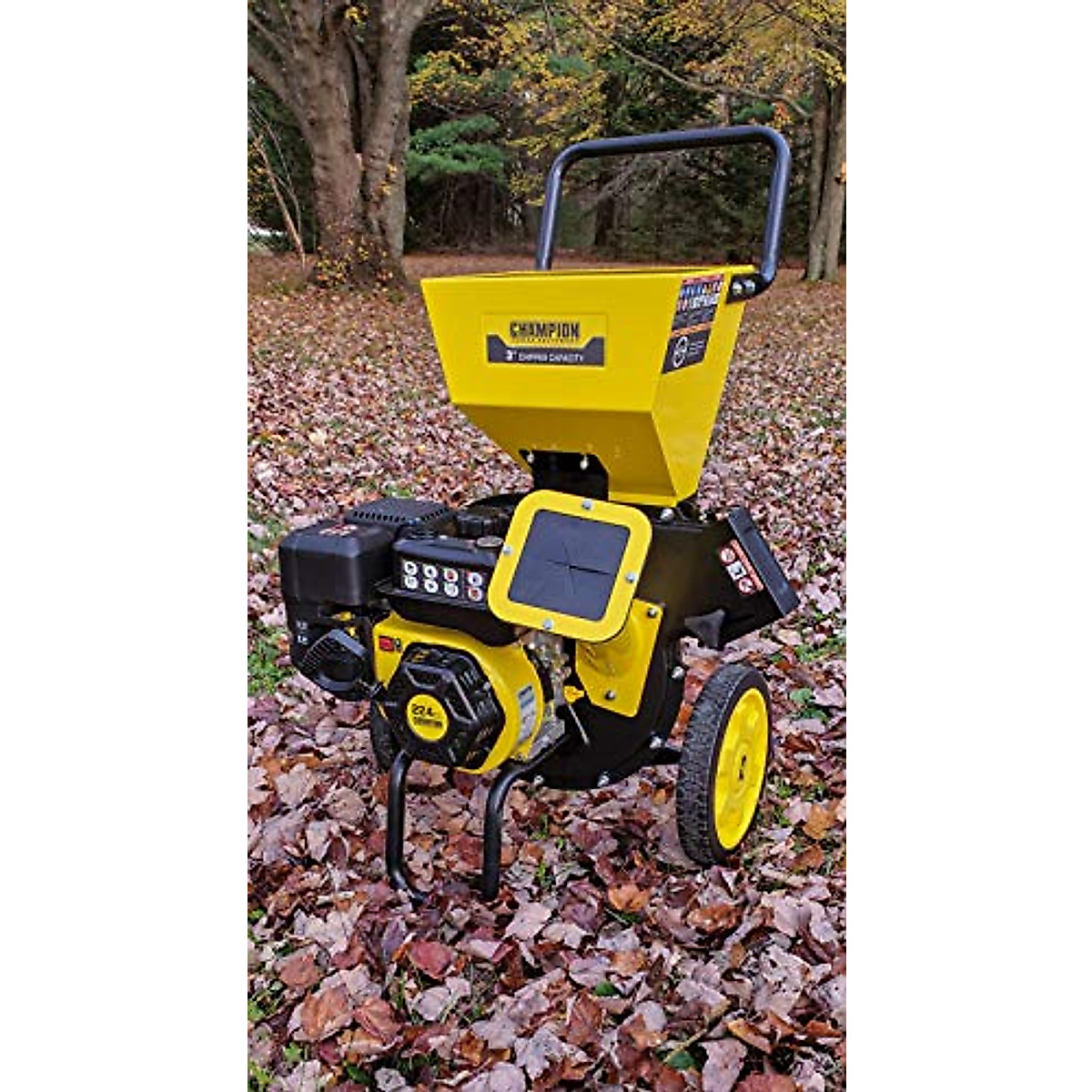 Champion Power Equipment 200905 3-Inch Portable Chipper-Shredder with Collection Bag