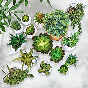 Winlyn 15 Pcs Artificial Succulents Unpotted Bulk Small Faux Succulent Plants Hanging Succulents Hops Aloe for Succulent Garden Wreath Floral Arrangement Indoor Outdoor Green Decor