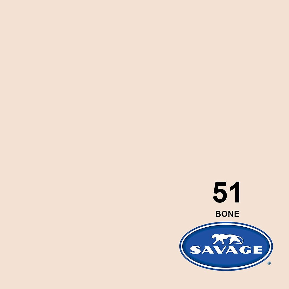 Savage Seamless Background Paper - #51 Bone (53 in x 36 ft)