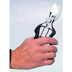 Soke Hidehisa Professional Garden Shears YP200 (Japan Import)