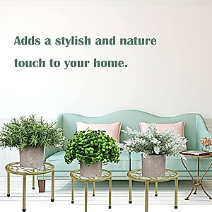 HAINARverS Metal Plant Stands 5-Pack, Heavy Duty Rustproof Iron Corner Flower Pot Stand Holder, Round Supports Display Rack Tiered Plant Stand Shelf For Indoor And Outdoor Multiple (Gold)