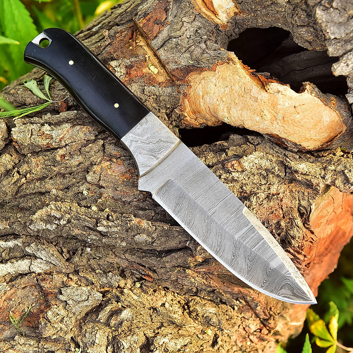 SharpWorld Buffalo Horn Damascus Knife Made Of Remarkable Damascus Steel -Best Hunting Knife with Sheath TJ105
