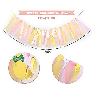 One Person in The Lemon Banner- 1st Birthday High Chair Banner, Smashed Cake, Photo Background Props, Piece Skirt (Lemon Banner)