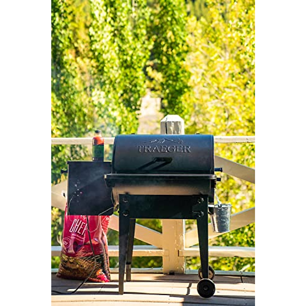 Traeger Grills Tailgater 20 Portable Wood Pellet Grill and Smoker, Black