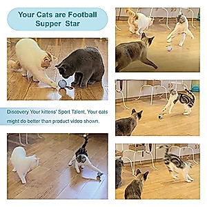 Migipaws Cat Toys, Automatic Moving Ball Bundle Classic Mice + Feather Kitten Toys in Pack. DIY N in 1 Pets Smart Electric Teaser, USB Rechargeable (White)