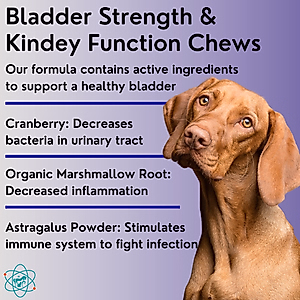 PET CARE Sciences Bladder Strength Approx 55 Chews - Natural Dog UTI Treatment - Kidney Support for Dogs - Dog Cranberry Supplement - Senior Dog Incontinence Supplements - Made in The USA