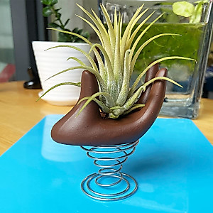 HHHH 3 pcs Air Plant Holder Mini Hand Shape Stand AirPlants Tillandsia Cute Container Pot Plant Display Home Office Decor Desk Table Shelf or Gifts Party Favors, Clay