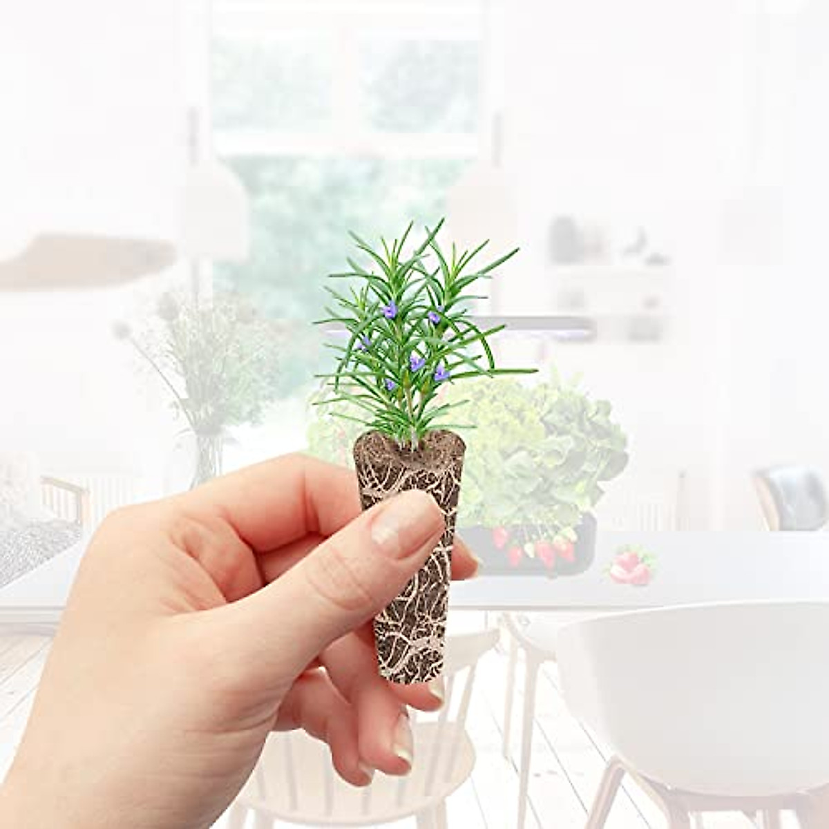 Ambgrow Grow Sponges Seed Starter Pods, Indoor Plants Hydroponics Supplies Compatible with QYO, LYKO,Idoo Hydroponics Growing System(Square)-50 Pack