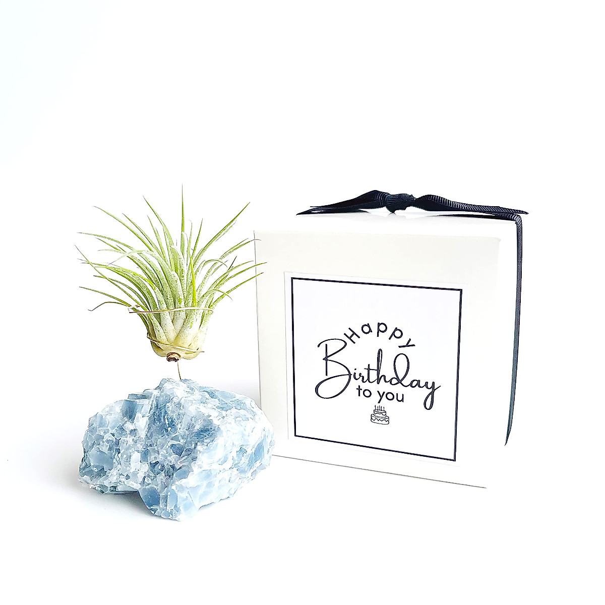 Thoughtful Birthday Gift for Plant and Crystal Lovers Blue Calcite Crystal Air Plant Holder Includes Air Plant and Gift Box Unique Meaningful Gift for Best Friend Girl Friend Boyfriend