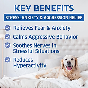 Hemp Calming Chews for Dogs - Dog Calming Chews - Natural Dog Anxiety Relief Treats - Separation, Stress, Barking, Thunderstorms, Lightning - Dog Anxiety Chews - 120 Calming Dog Treats