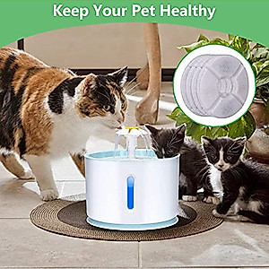 ITidyHome 12 Pack Cat Water Fountain Filters of Pet Fountain Replacement Filter,for most 81oz/2.4L Automatic Pet Cat Dog Water Fountain Dispenser