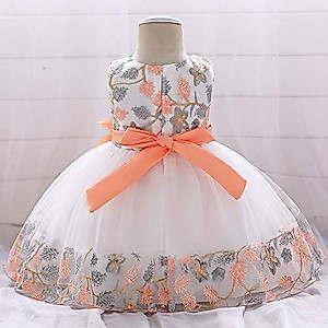 12 18 24 Months Formal Pageant Princess Easter Dresses for Girls Embroidery Sleeveless 2T Little Girl Elegant Spring Prom Lace Dresses 24M Orange