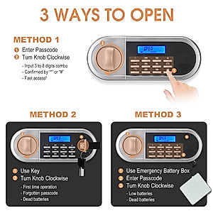 1.0 Cubic Feet Home Safe Fireproof Waterproof, Digital Home Security Safe Box with Programmable Keypad and Removable Shelf, for Documents, Jewelry, Valuables, Black (9.8"W x 13.7"D x 9.8"H)