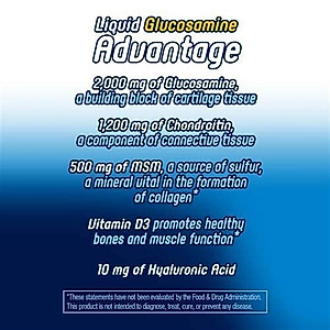 Glucosamine Chondroitin MSM - Natures Way Wellesse Joint Movement Liquid Dietary Joint Supplements Women Men - Hip Knee Back Arthritis with Hyaulic Acid Gluten - Move Free 33.8 oz (2)