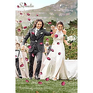 Serwalin 300pcs Silk Rose Petals for Weddings Flowers Petals for Valentine's Day Burgundy Petals Fake Rose Petals Flower Girl Petals for Wedding Flower Girl Basket Aisle Runner Bridal Shower