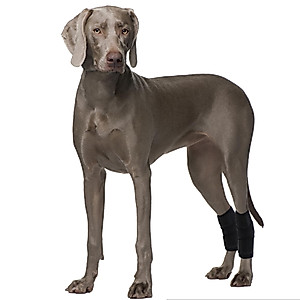 ROZKITCH Dog Leg Protector for Rear Hock Joint or Front Leg Brace, 1 Pair of Dog Leg Compression Wrap Sleeve for Anti Licking Carpal Support Ankle Support Protect Injury Sprain Torn ACL CCL Black L
