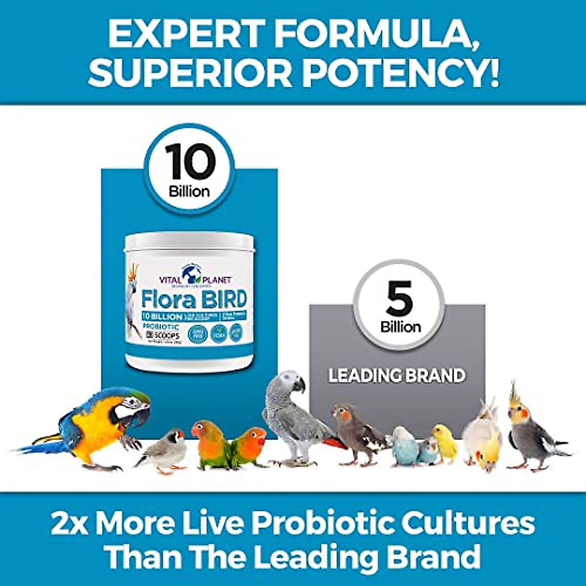 Vital Planet - Flora Bird Probiotic Powder Supplement with 10 Billion Cultures and 7 Diverse Strains, High Potency Probiotics for All Birds for Avian Digestive and Immune Support 80 Scoops 1.06 oz