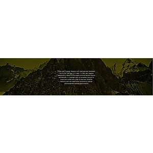 ZOTAC GeForce GTX 1080 Ti AMP Edition 11GB GDDR5X 352-bit PCIe 3.0 Gaming Graphics Card VR Ready(ZT-P10810D-10P)