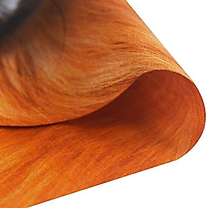 Obacle Animal Half Face Mask Sun Dust Wind Protection Seamless Face Mask for Men Women, Lightweight Thin Neck Gaiter for Outdoor Sports Gifts (Dog with Yellow Hairs)