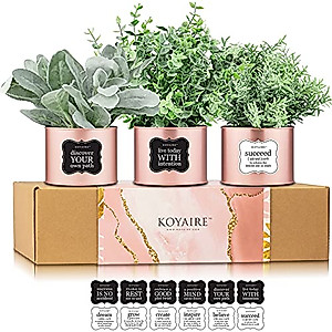 KOYAIRE 3 Motivational Faux Plants for Desk - Rose Gold Decor for Office - Small Home Office Accessories - Desk Decorations - Pink Office Gifts