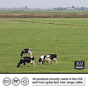 K9 Connoisseur Single Ingredient Dog Bones Made in USA for Small Breed Dogs Natural Long Lasting Marrow Filled Bone Slice Chew Treat Best for Dogs Or Puppies Up to 15 Pounds 3 Pack of 6 Slices