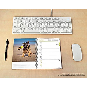 Labrador Retrievers 2021 Calendar