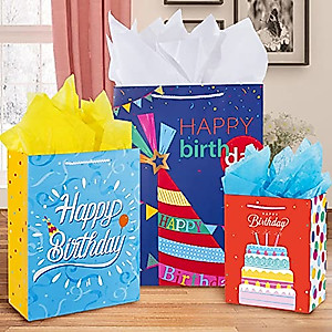 Birthday Gift Bag with Handle and Tissue Paper, 12 Pcs Gift Bags Assorted Sizes and Designs, Large, Medium, Small Size Birthday Gift Bag for Boys, Girls, Women and Men’ Birthdays Party ( Sizes 15.5”, 13”, 9” )
