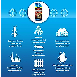BioAdvanced Carpenter Ant, Termite and Insects Killer Plus, Concentrate, 40 oz