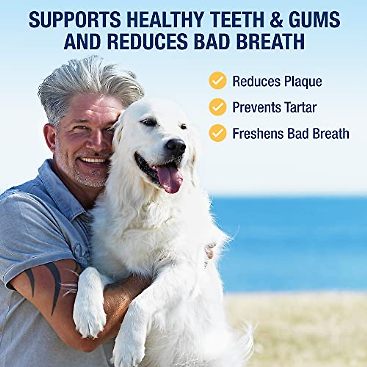 ProDen PlaqueOff Powder 420g