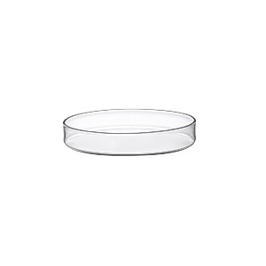 EISCO Petri Dish, 5.9" (150mm) - Beaded Edges - Easy to Sterilize for Repeated Use - Soda Glass