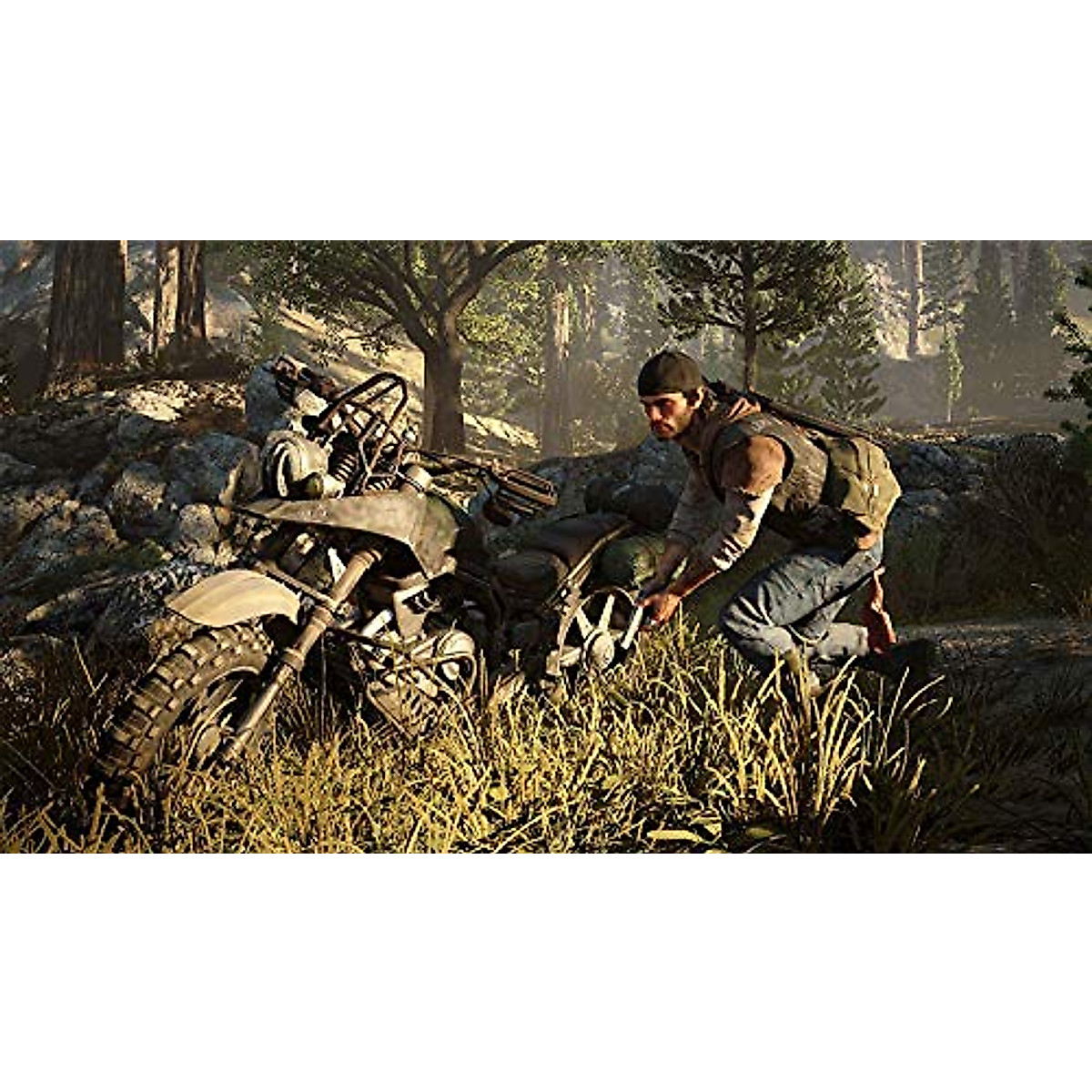 Days Gone - Playstation 4