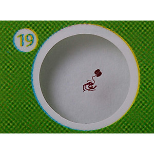 Levenhuk LabZZ CP24 Creatures and Plants Prepared Microscope Slides Set for Kids Children and Students Education