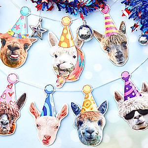 Llama Birthday Garland Funny Alpaca Face Portrait Bunting Banner 24 pcs Llama Cactus Cake Cupcake Topper Hilarious Mexican Bday Party Decoration Baby Shower Supplies