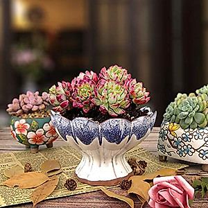 Summer Impressions 6 Inch Glazed Terracotta Succulent Planter with Drainage Hole Clear Plant Saucer Cactus Planter Pot Bonsai Pot Clay Pot Flower Pot (Lotus Blue with Saucer)
