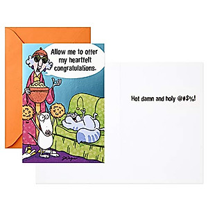 Hallmark Shoebox Maxine All Occasions Card Assortment (6 Cards with Envelopes), Model:1599RZG1001