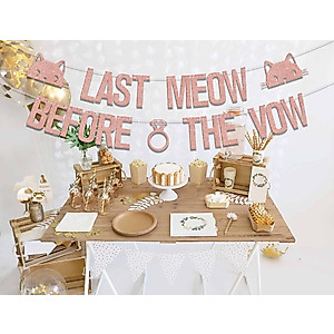 Last Meow Before the Vow Banner, Cat Themed Bachelorette Party Decorations, Bridal Shower Engagement Party Decorations, Hen Wedding Party Supplies Rose Gold