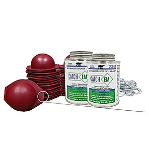 Bug Ball (25 Pack) Apple Maggot Trap Starter Kit - with NO Pesticides, Made in the USA