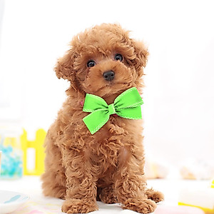 Green Wired Edge Ribbons 2.5" 10 Yards, Spring Solid Wired Edge Decoration Wired Ribbon Fabric Craft Ribbon Burlap Wrapping Ribbon for Holiday Party Wrapping DIY Craft Wedding Decoration Wreaths Bow