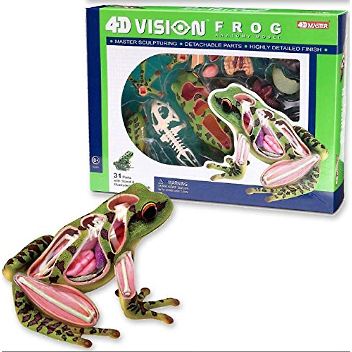 TEDCO 4D Vision Frog Anatomy Model