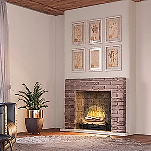 DIMPLEX X-RLG20FC Fireplace