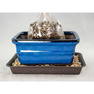 6" Rectangular Blue Bonsai/Succulent Pot + Soil + Tray + Rock + Mesh Kit