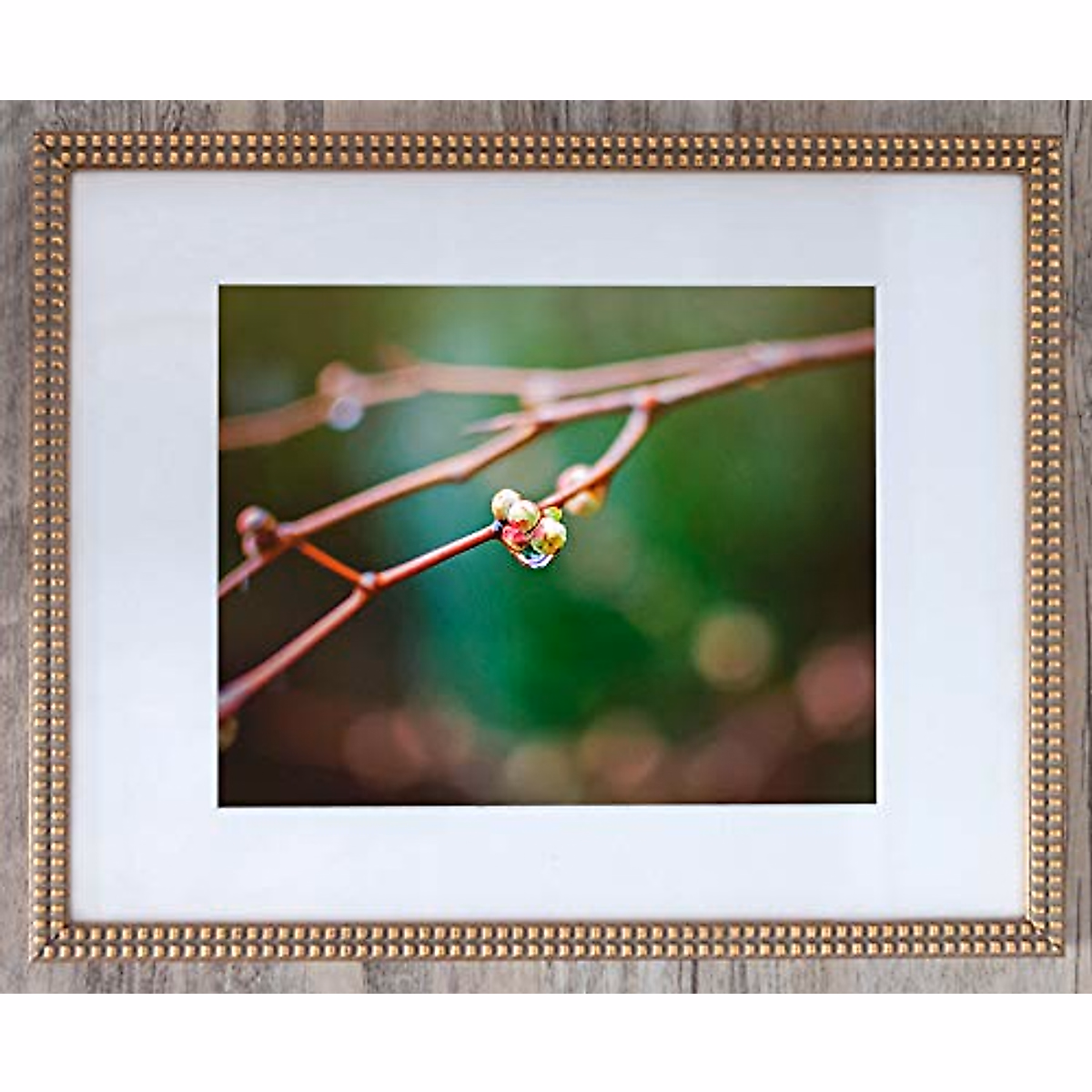 Raindrop on Branch, Limited Edition 1, Photo 4 of 4 - Framed Office Art- Inspirational 24x30-with 20x24-mat