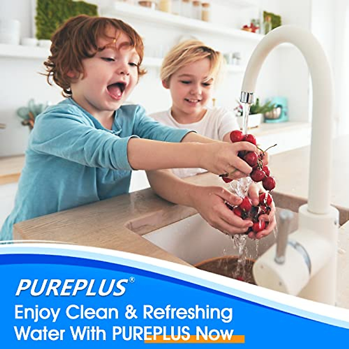 PUREPLUS Whole House Water Filtration System with Sediment and Carbon Water Filter
