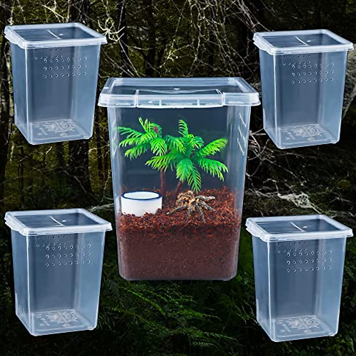 5 Pack Spider Terrariums Breeding Box Insect Hatching Container Acrylic Breeding Box for Arboreal Spider Tarantula Mantis Scorpion Centipede Small Reptiles