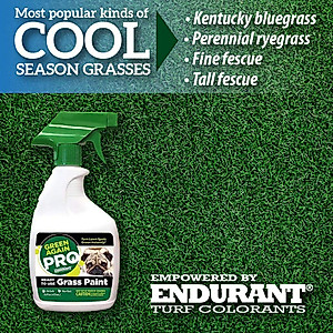 Pre-Mixed Grass and Turf Paint - All Natural Pet-Friendly Lawn Colorant Turns Spots Green Again with Eco-Friendly Point-and-Spray Application (16 oz) (Warm Season Grasses)