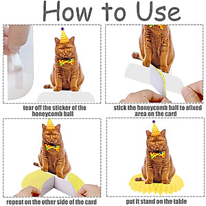 British Shorthair Cat Honeycomb Centerpieces 12Pcs Cat Birthday Party Decorations Cute Cat Party Table Decorations for Cat Themed Kitten Birthday Party Supplies